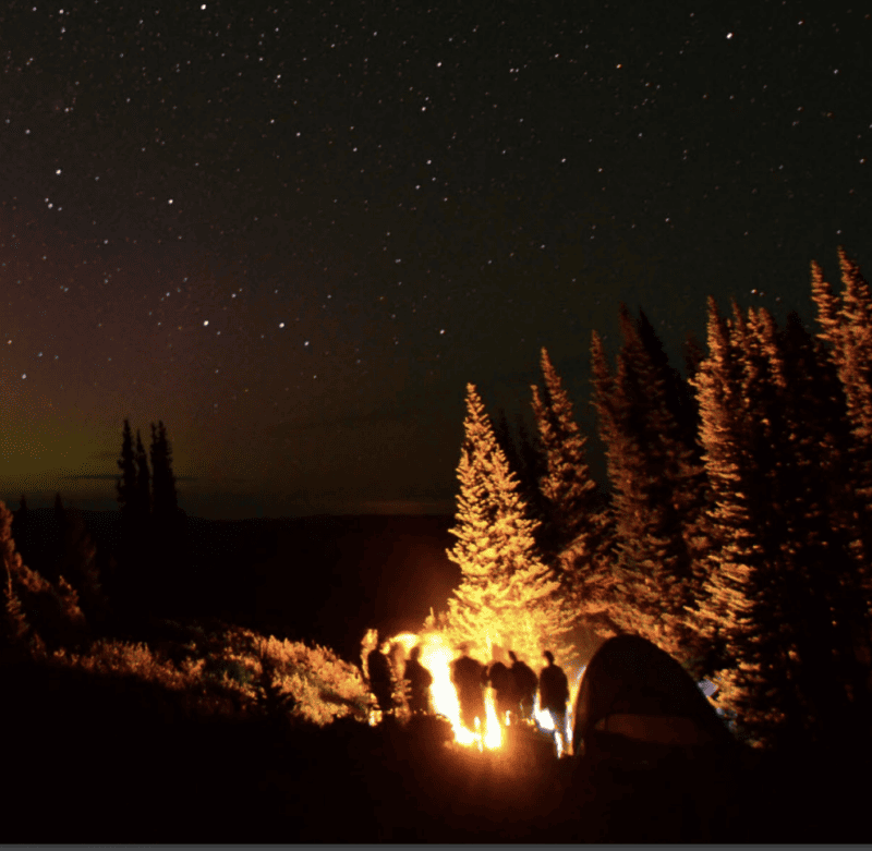 Tribal Parks And Indigenous Protected And Conserved Areas Lessons